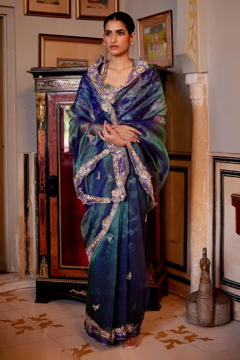 Jimmy Choo Saree Meaning: The Viral Trend Redefining Indian Luxury ...